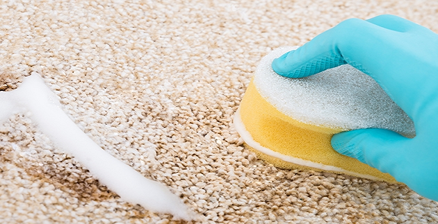 How to clean carpet the easy (and cheap) way - Helpling blog